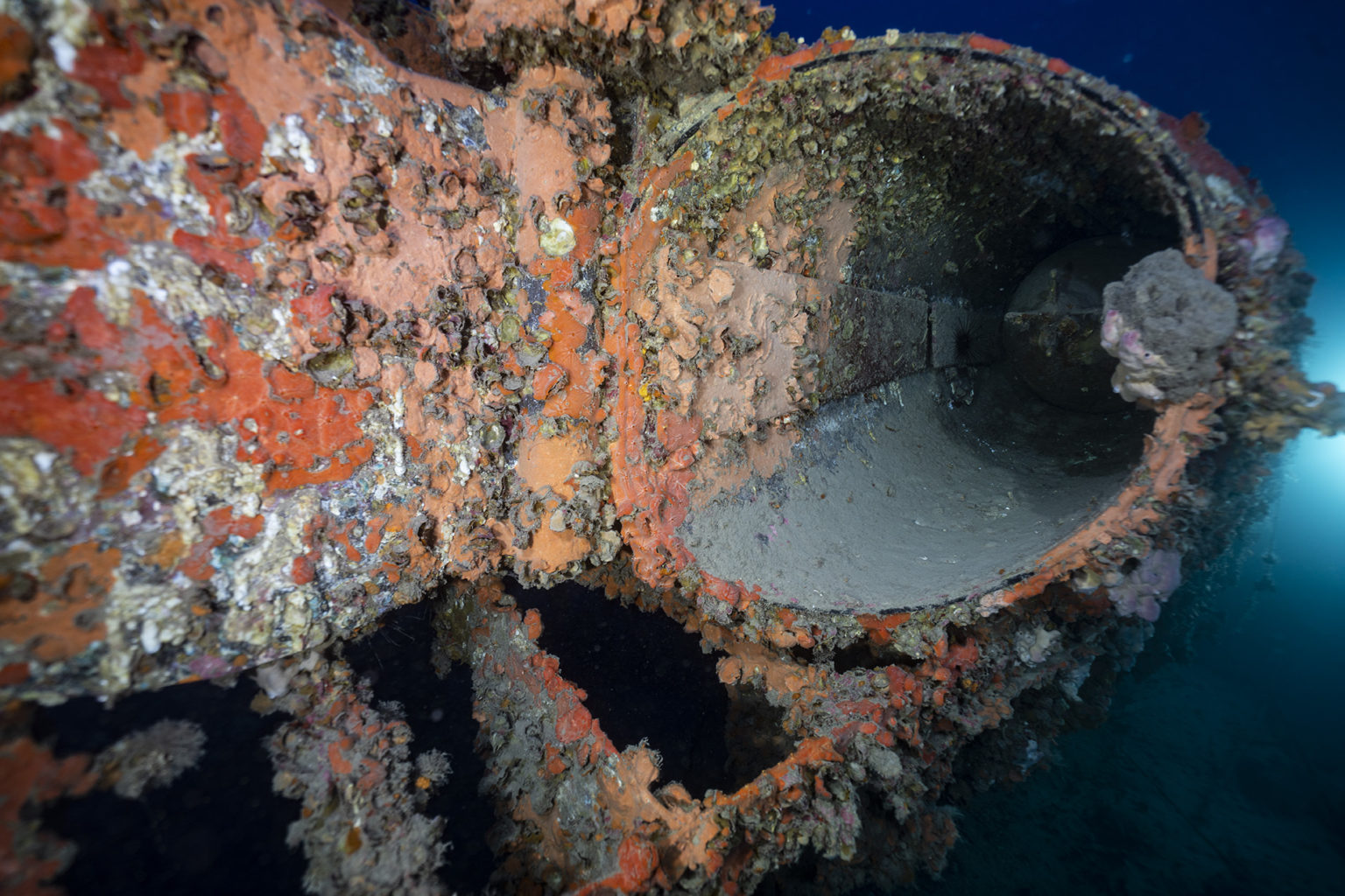 Schnellboot S-31 - The Virtual Museum