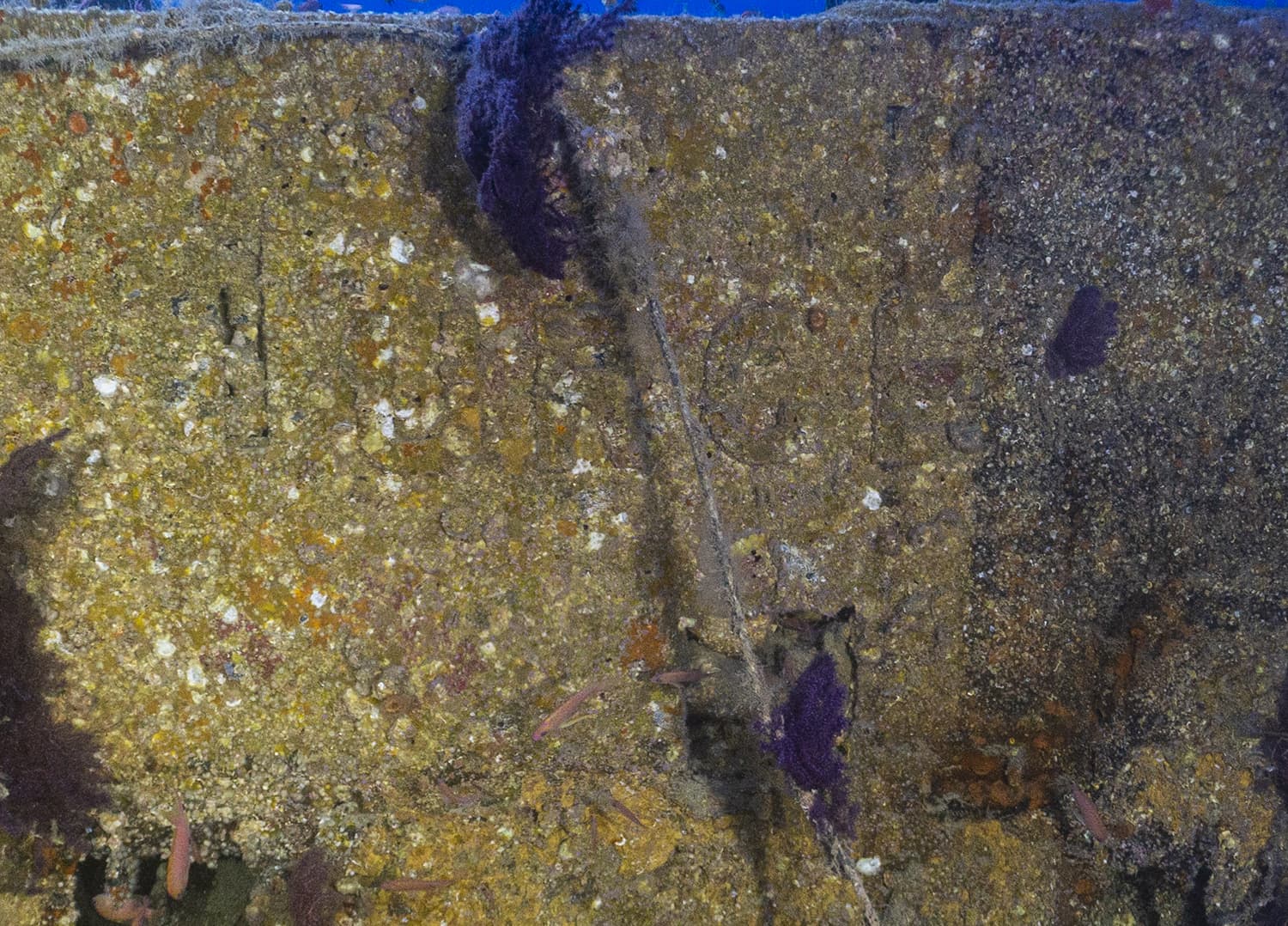 HMS Urge - The Virtual Museum