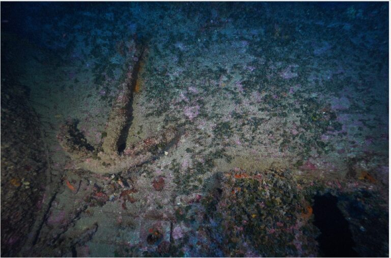 SS Polynesien - The Virtual Museum